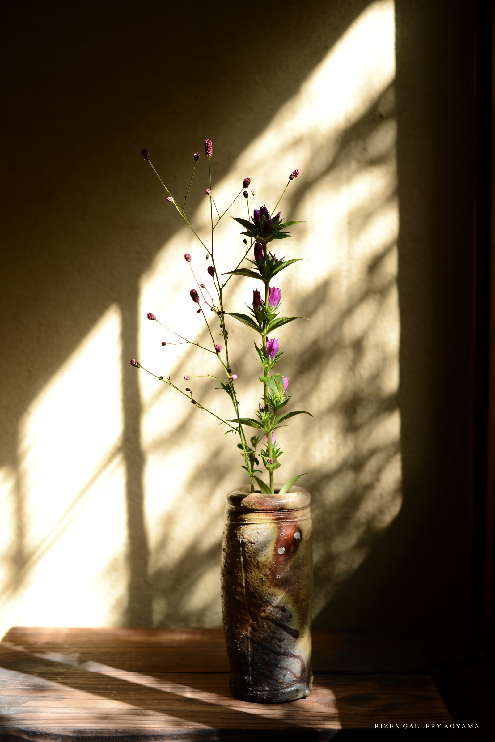 In the morning sun – shizen to bizen