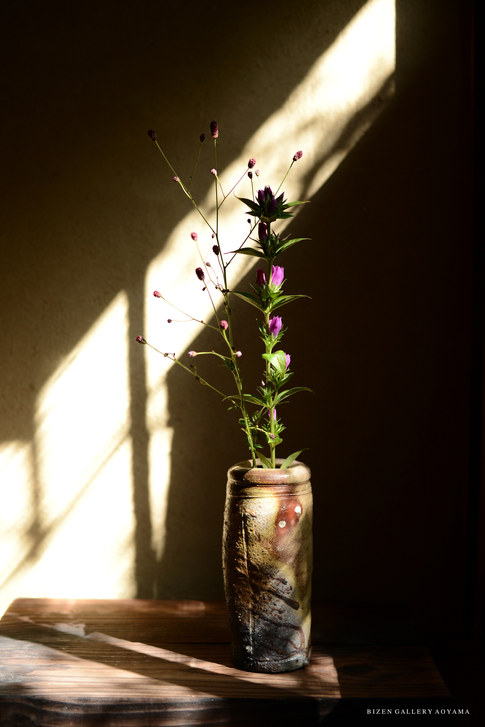 In the morning sun – shizen to bizen