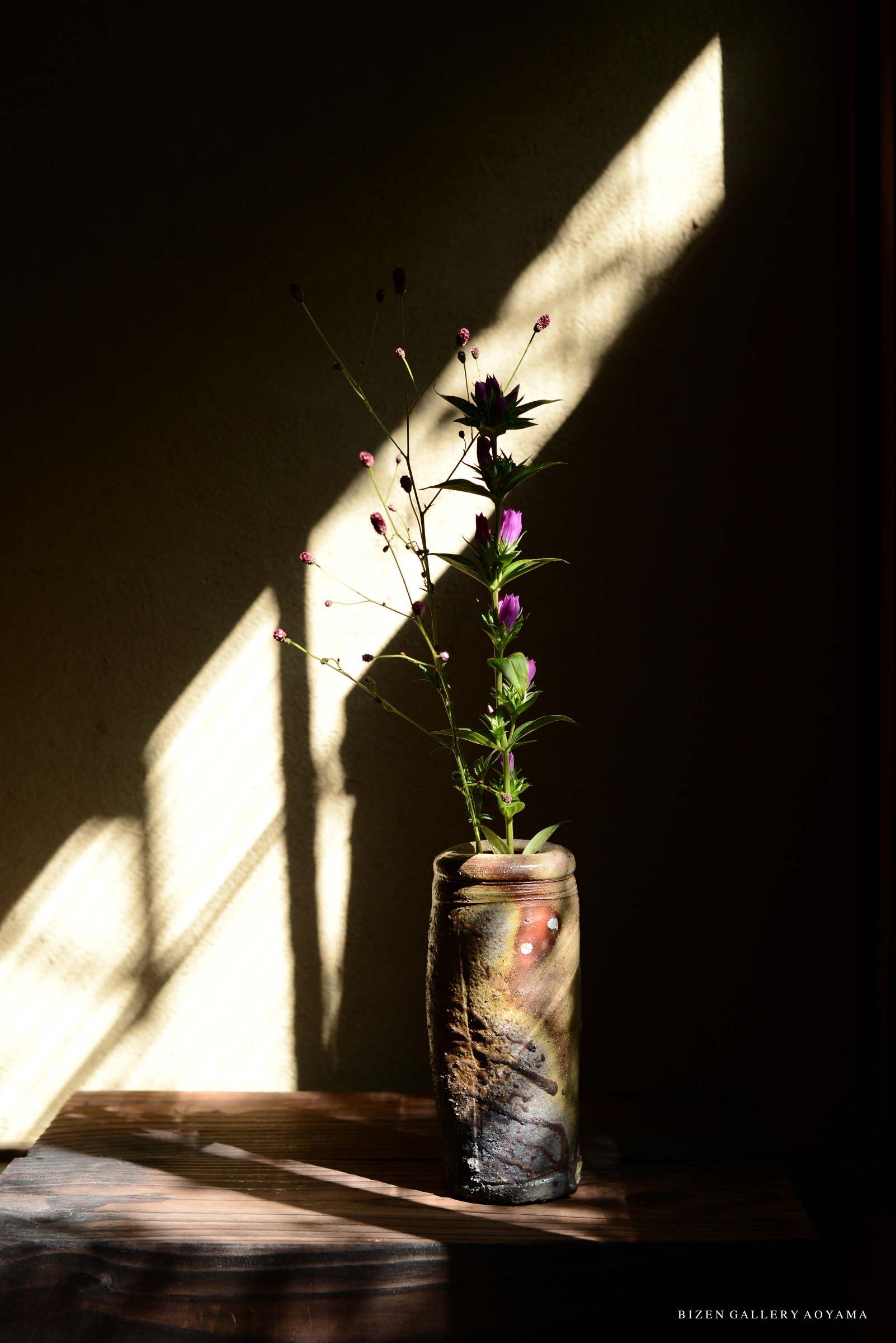 In the morning sun – shizen to bizen