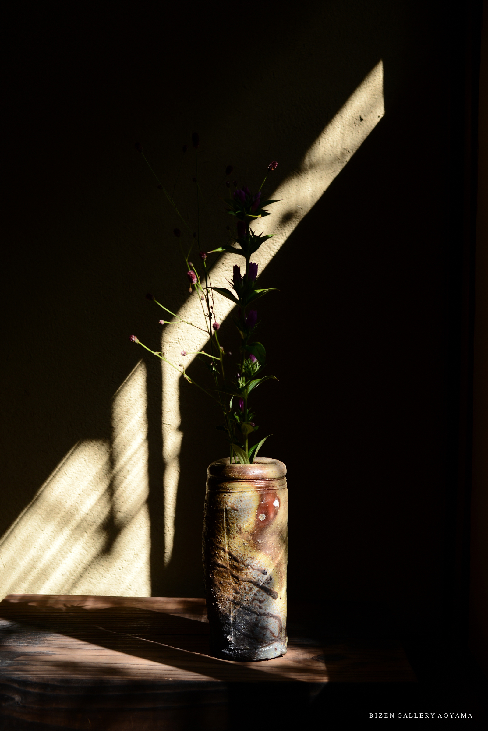 In the morning sun – shizen to bizen